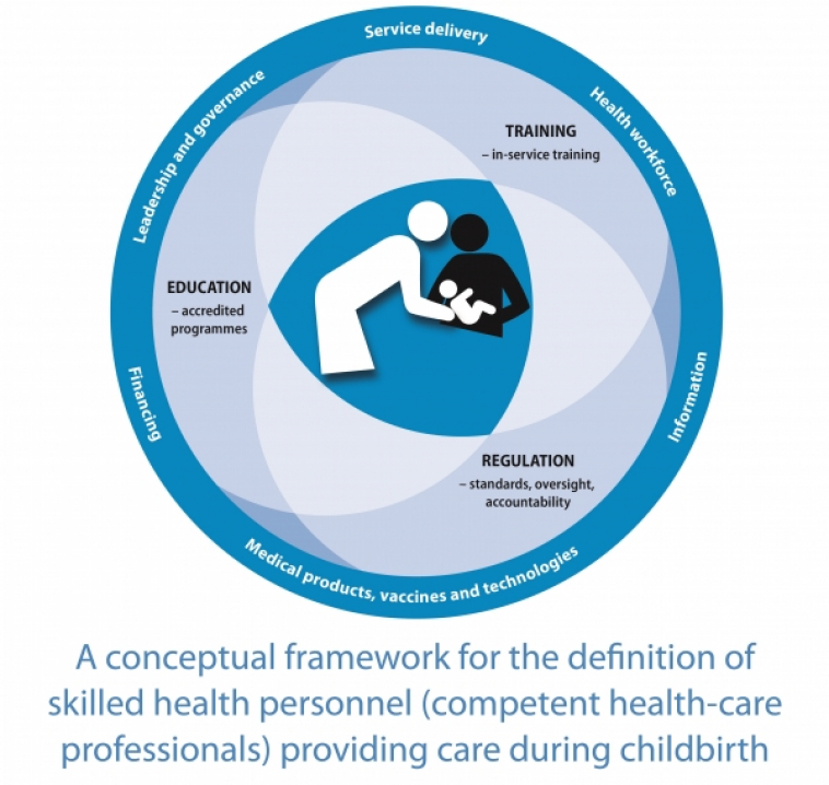 New Definition Of Skilled Health Personnel Figo new-definition-of-skilled-health-personnel-figo